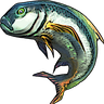 Fish | Windrose Wiki
