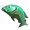 Fish | Windrose Wiki