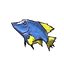 Fish | Windrose Wiki