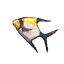 Fish | Windrose Wiki