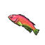 Fish | Windrose Wiki