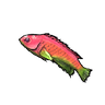 Fish | Windrose Wiki