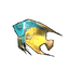 Fish | Windrose Wiki