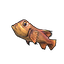 Fish | Windrose Wiki