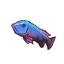 Fish | Windrose Wiki
