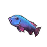 Fish | Windrose Wiki