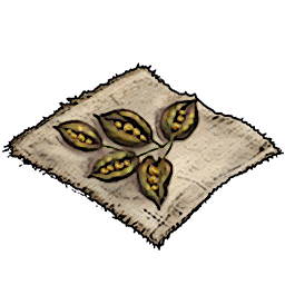 Ficus Seeds | Windrose Wiki